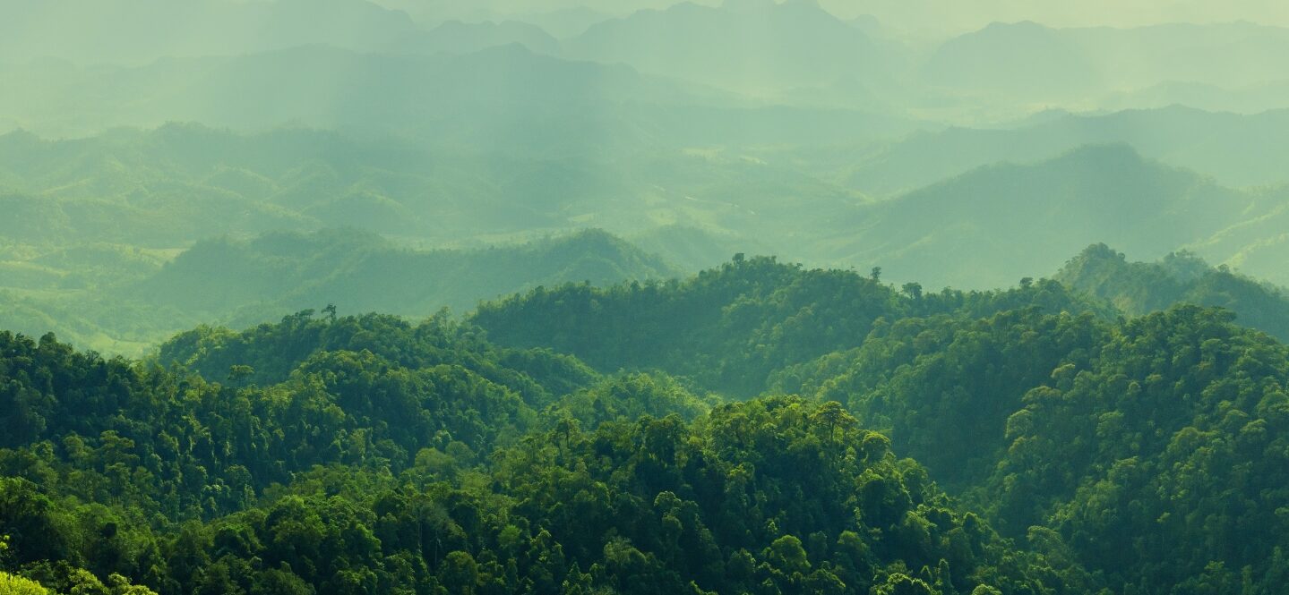 ATOME Live Presentation - Investor Meet Company - ATOME - The ...